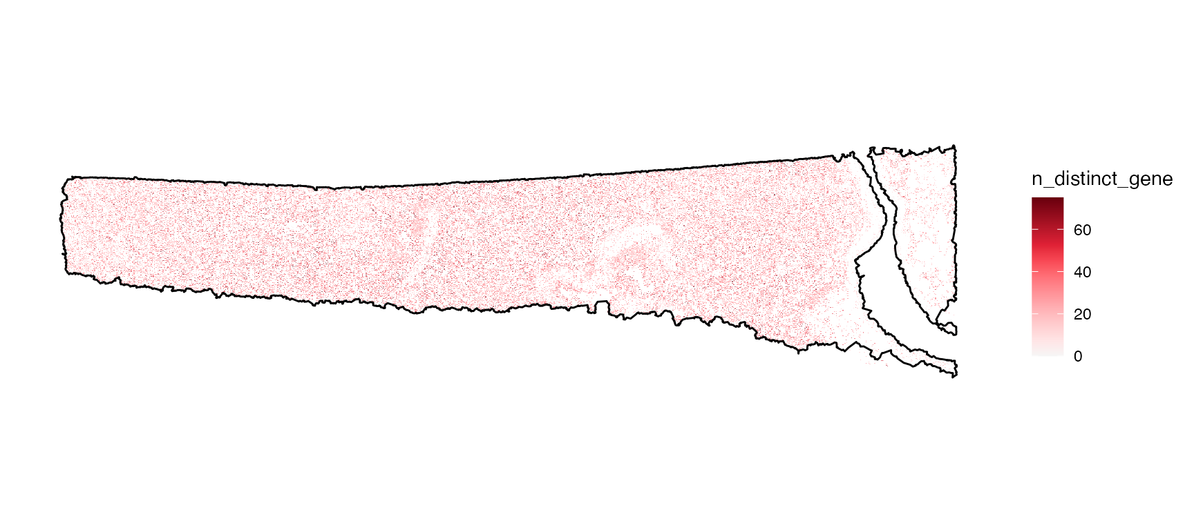 Initiation & Preprocessing Xenium • SPATA2